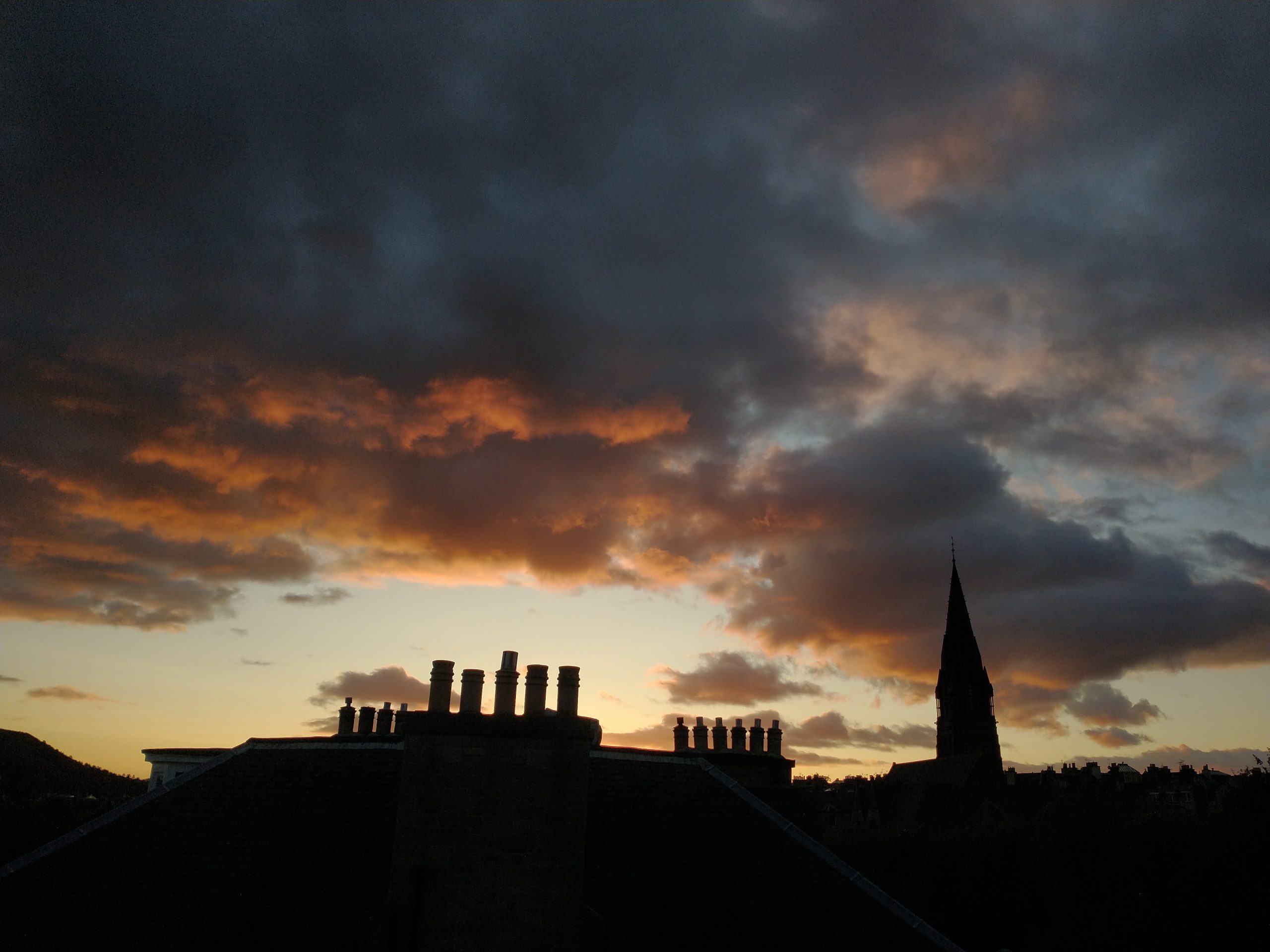 A view seen through a window | Susan Tomes
